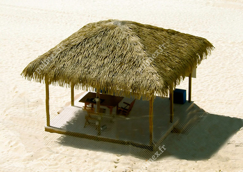 Revendeur de feuilles exotiques synthétiques Palmex en Rhône Alpes